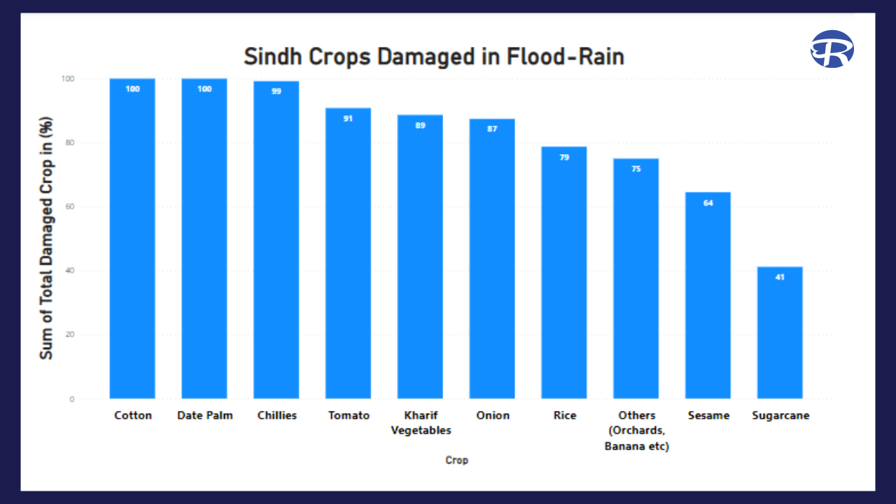 A severe food crisis looms large in Sindh after devastating floods hit ...